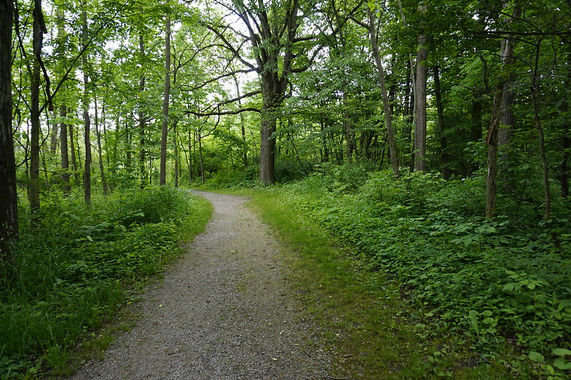 God’s Speed: Slowing Down, Listening, and Learning – Clearing Customs